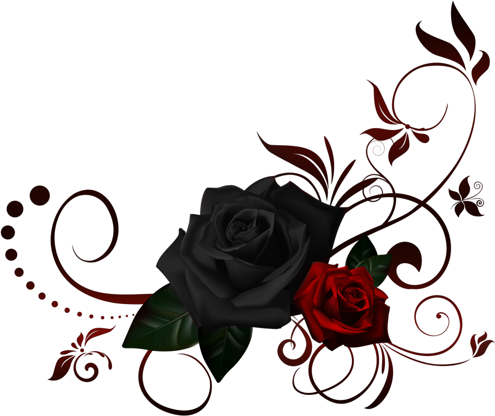 Download HD 548567918 2387796 Red Rose Corner Border 9925981 - Black ...