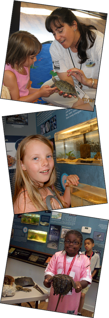 Download HD Dnc Collage Transparent PNG Image - NicePNG.com