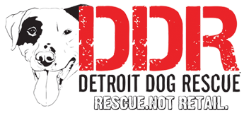 Download HD Ddr Png Transparent PNG Image - NicePNG.com