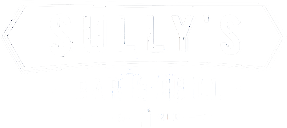 Download HD Sully Png Transparent PNG Image - NicePNG.com