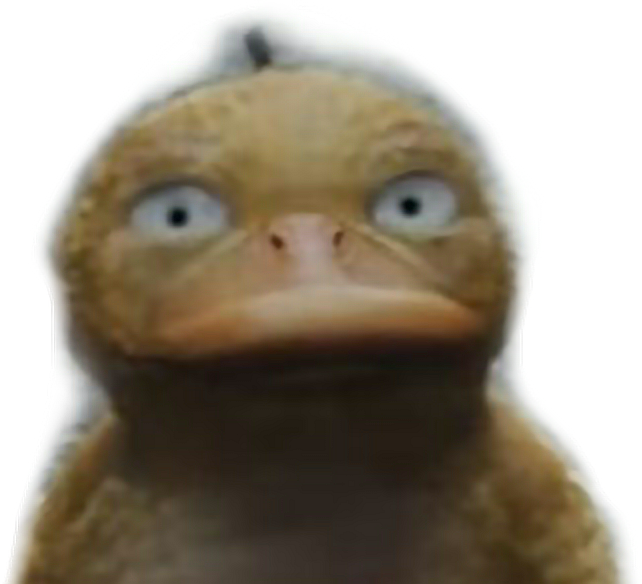 Download HD Psyduck Png Transparent PNG Image - NicePNG.com