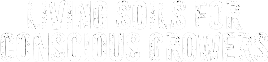 Download Living Soil - Graphics - HD Transparent PNG - NicePNG.com