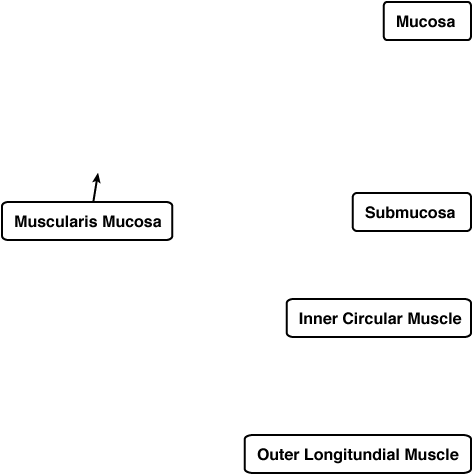 Download HD Colon Png Transparent PNG Image - NicePNG.com