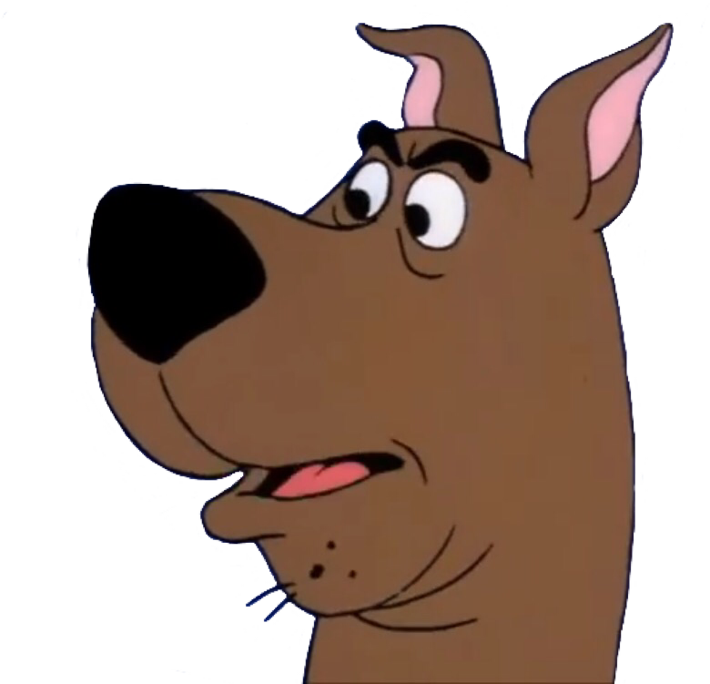 Download Scooby-doo Meets Batman - Scooby Doo Head Transparent ...