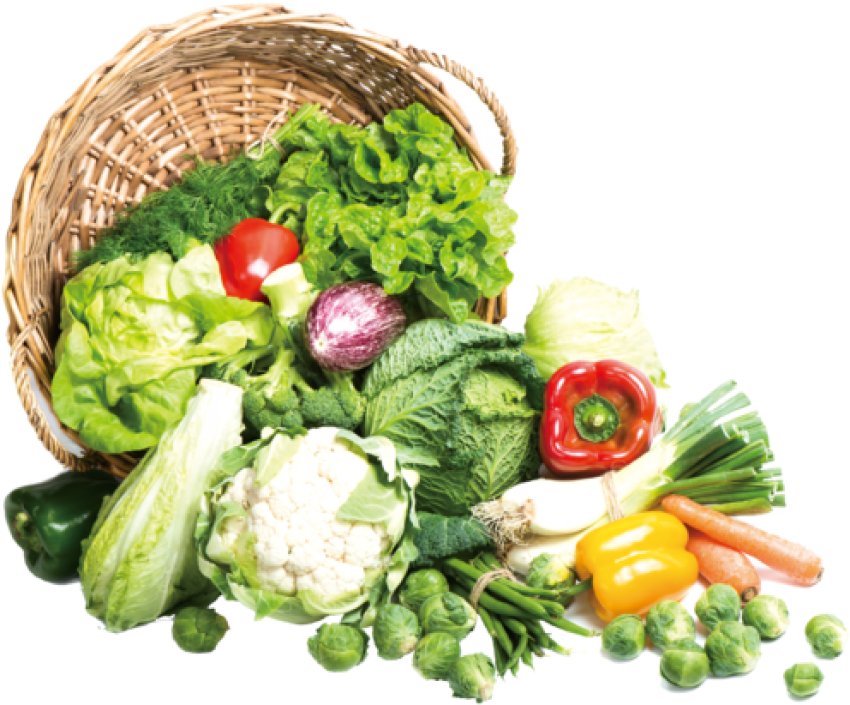 Download Free Png Download Vegetables Png Images Background - Organic ...