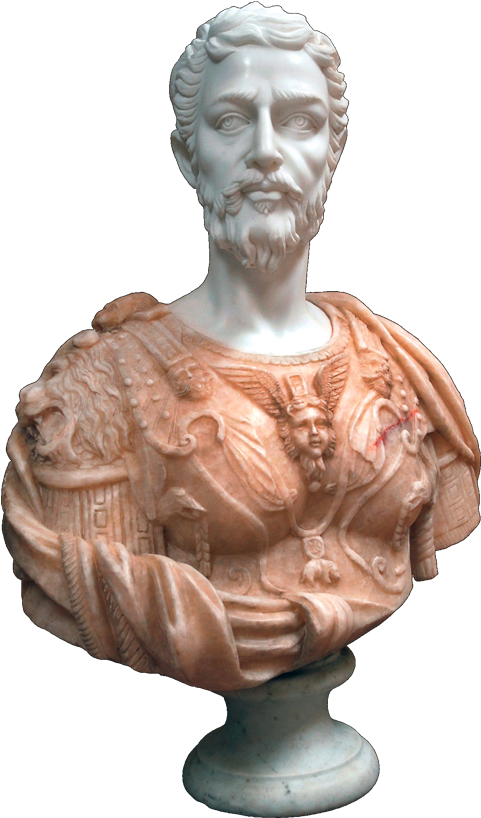 Download HD Home / Busts / Busts - Bust Transparent PNG Image - NicePNG.com
