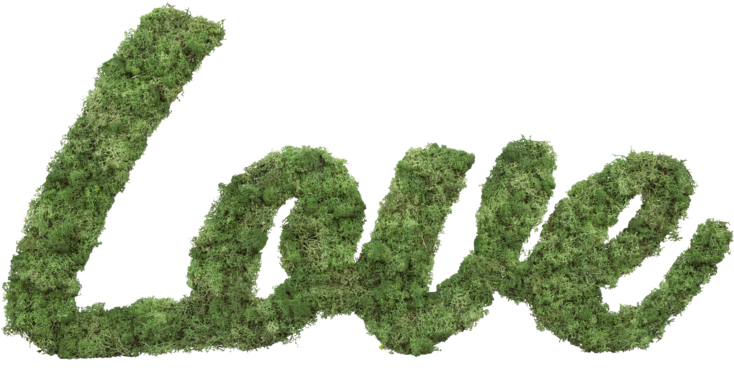 Download HD Love No Bg Transparent PNG Image - NicePNG.com