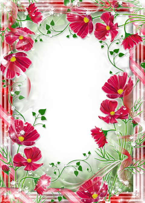 Download Free Png Download Beautiful Flowers Photo Frames Png ...