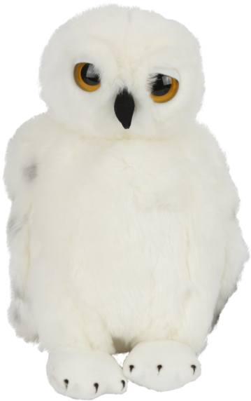 Download Snowy Owl - HD Transparent PNG - NicePNG.com