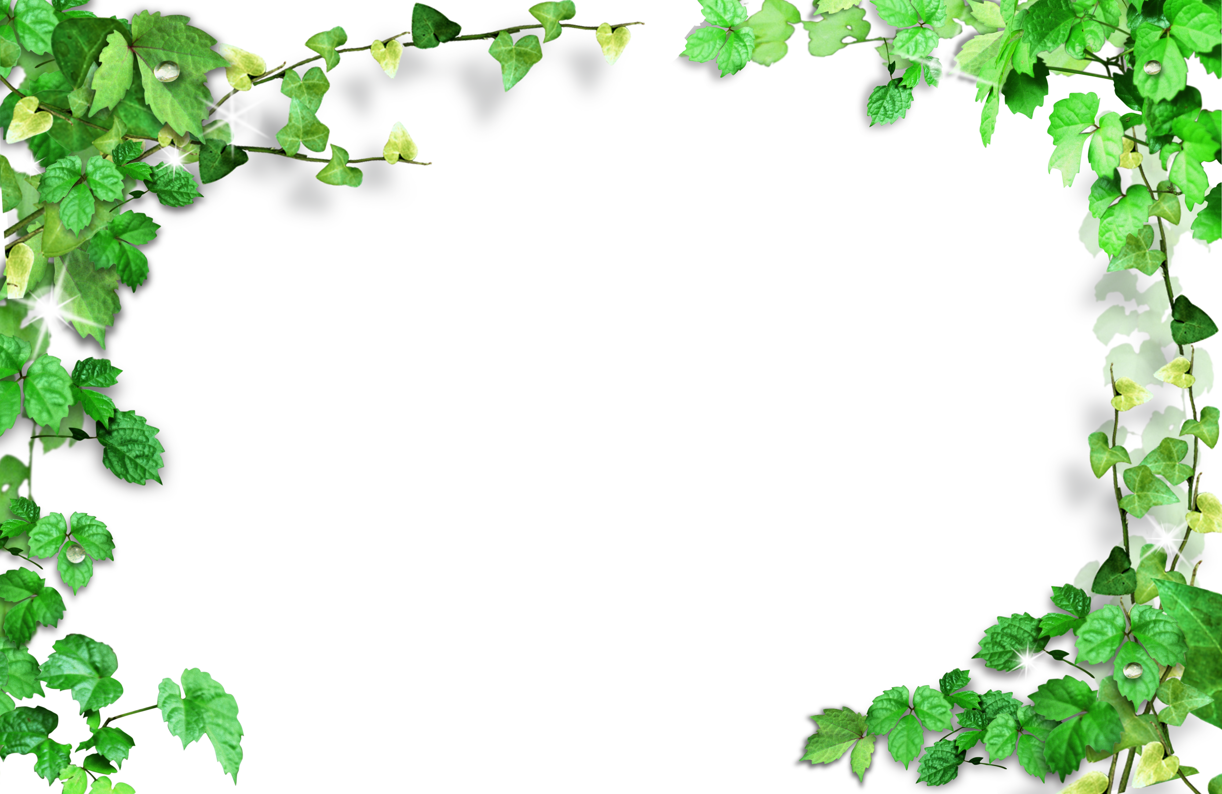 Green Border Frame Clipart Borders And Frames Png Free Transparent