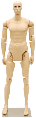 Download HD Poseable Adult Mannequin Uk Transparent PNG Image - NicePNG.com