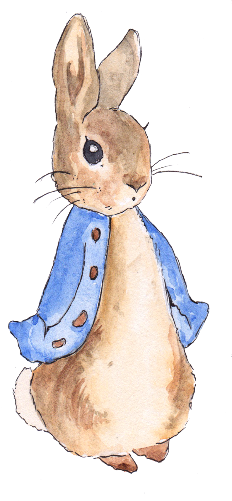 Download Peter Rabbit Png Free Library - Peter Rabbit Clipart Png - HD ...