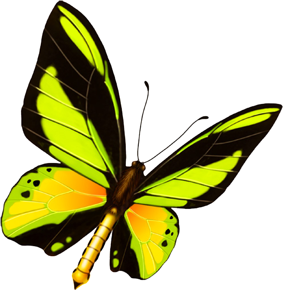 Download HD Hd Beautiful Colorful Butterfly Png - Blue Butterfly ...