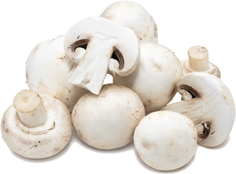 Download Button Mushrooms - Mushroom Png - HD Transparent PNG - NicePNG.com