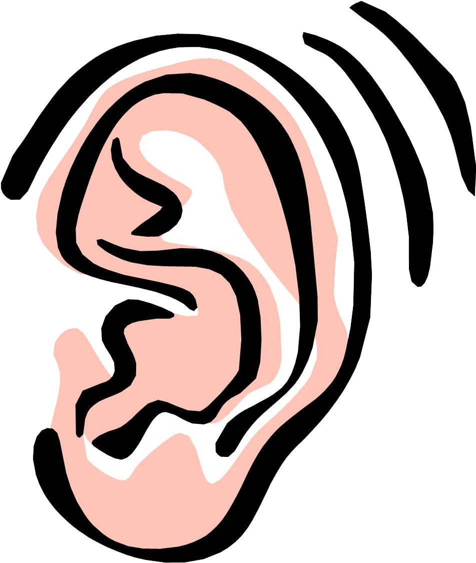 Download HD Ear Png Image - Ears Clipart Gif Transparent PNG Image ...