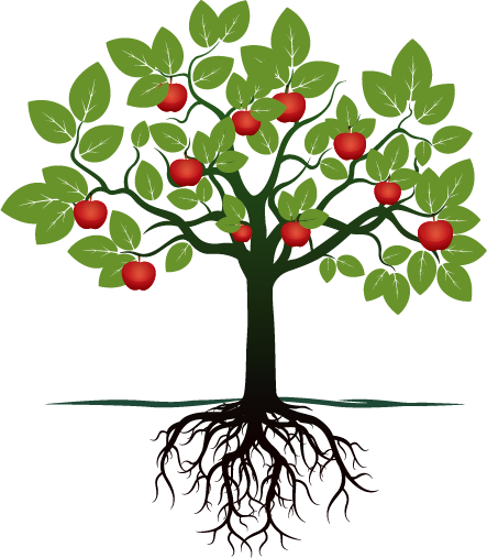 Download Apple Tree Cartoon Png - Tree Vector - HD Transparent PNG ...