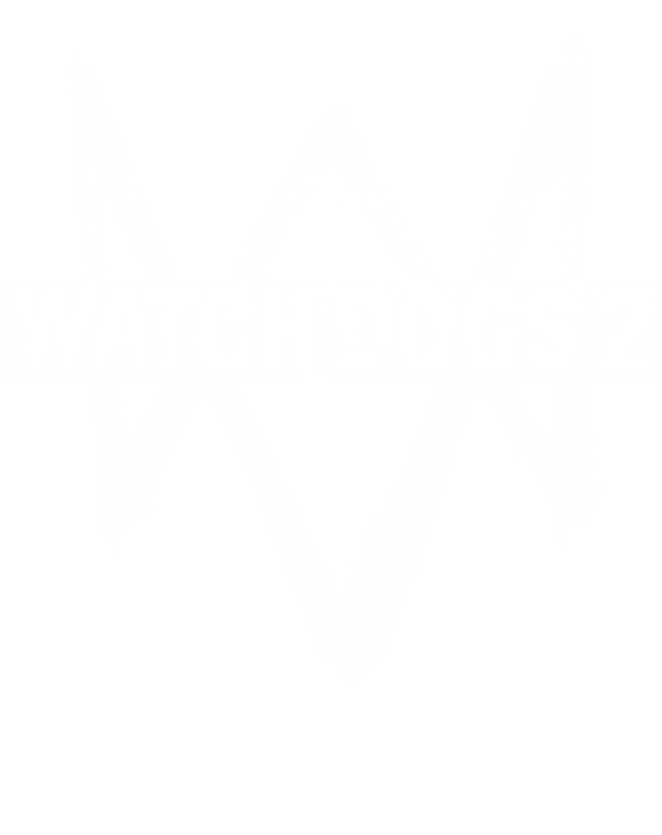Download HD Watch Dogs Multiple Save Slots - Watch Dogs 2 Icon Pc ...