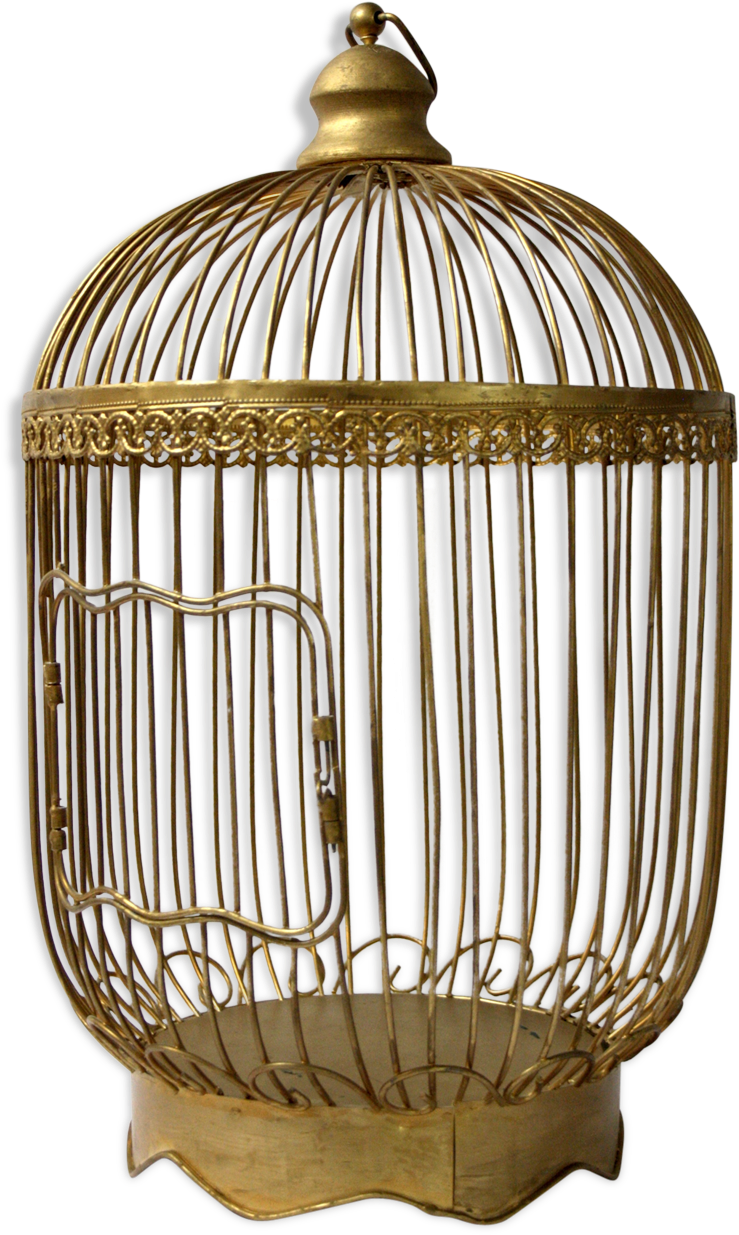 Download HD Cage Transparent PNG Image - NicePNG.com