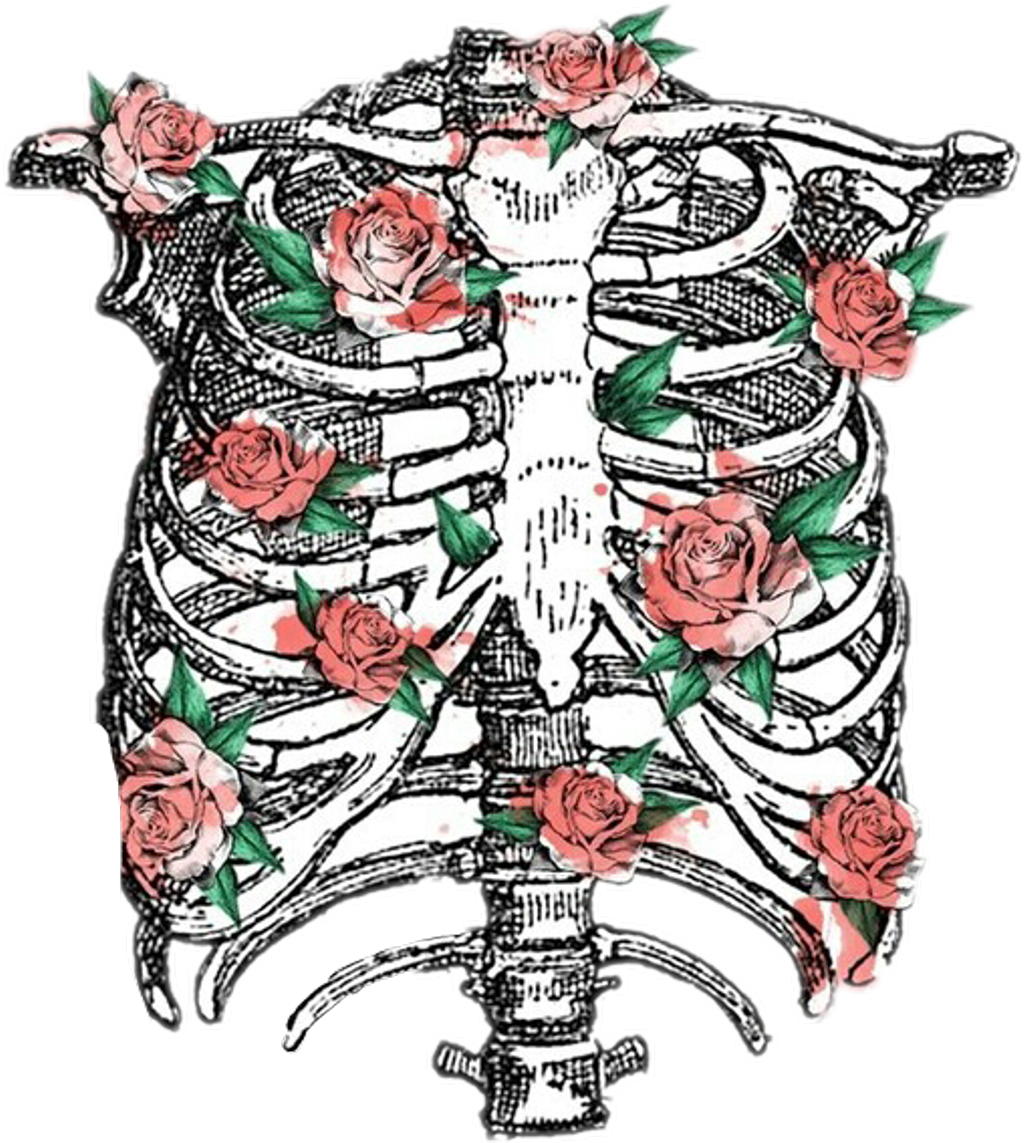 Download Ribcage Sticker - Rib Cage Transparent - HD Transparent PNG ...