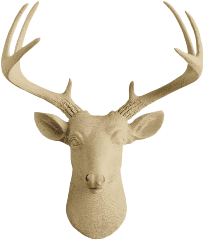 Download HD Antler Transparent PNG Image - NicePNG.com