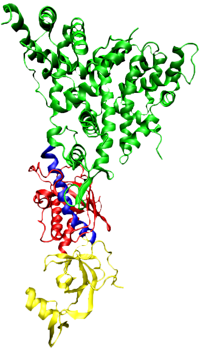 Download HD 2ffl By Domain Transparent - Dicer Protein Transparent PNG ...