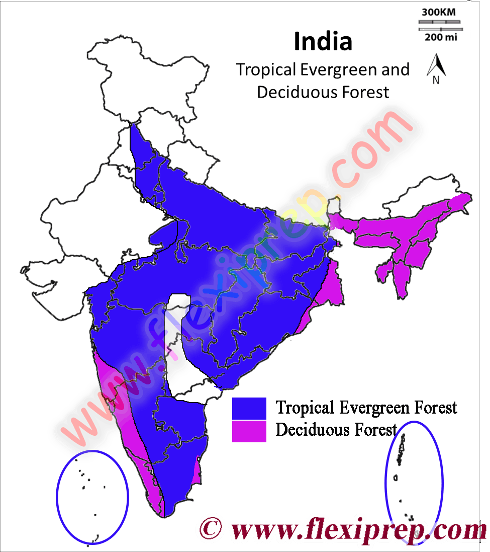 Download Tropical Evergreen Forest In India Map From Flexiprep - Map Of ...