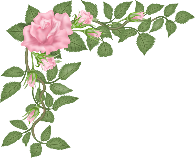 Download HD Flowers - Hybrid Tea Rose Transparent PNG Image - NicePNG.com