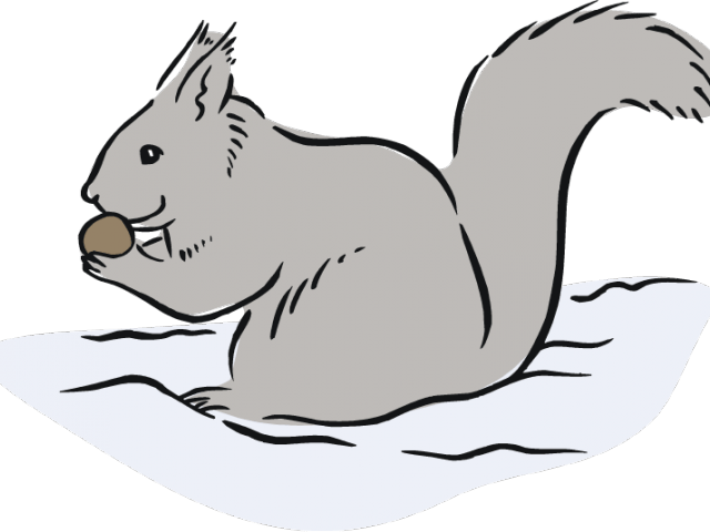 Download HD Gray Squirrel Clipart Cute Free Clipart On - Clip Art Grey ...
