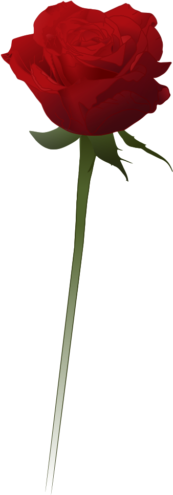 Download Red Rose Clipart Vector - Rose Vector Png Clipart - HD ...