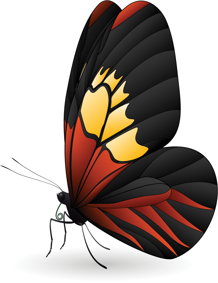 Download HD Beautiful Design Transparent PNG Image - NicePNG.com