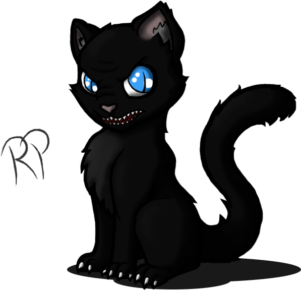 Download Evil Cat Png - Gato Negro De Ojos Azules - HD Transparent PNG ...