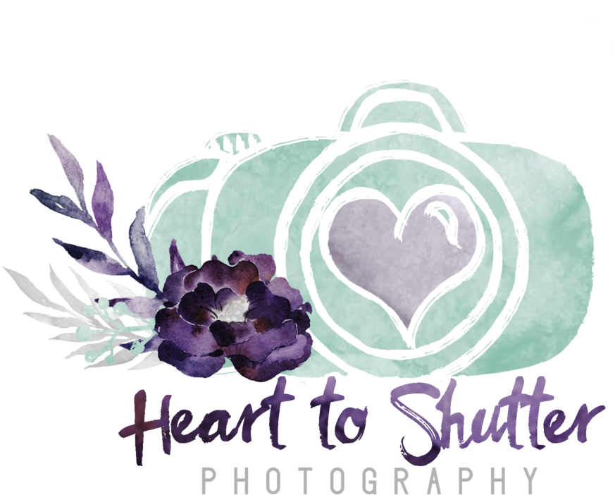 Download HD Shutter Png Transparent PNG Image - NicePNG.com