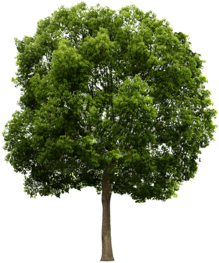 Download HD Website Transparent PNG Image - NicePNG.com