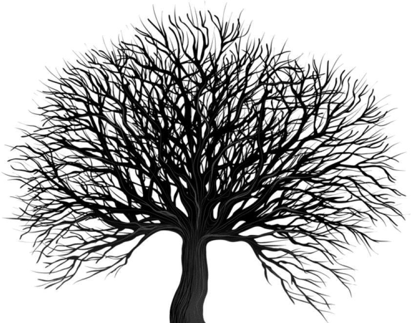 Download Free Png Download Black Tree Png Png Images Background ...