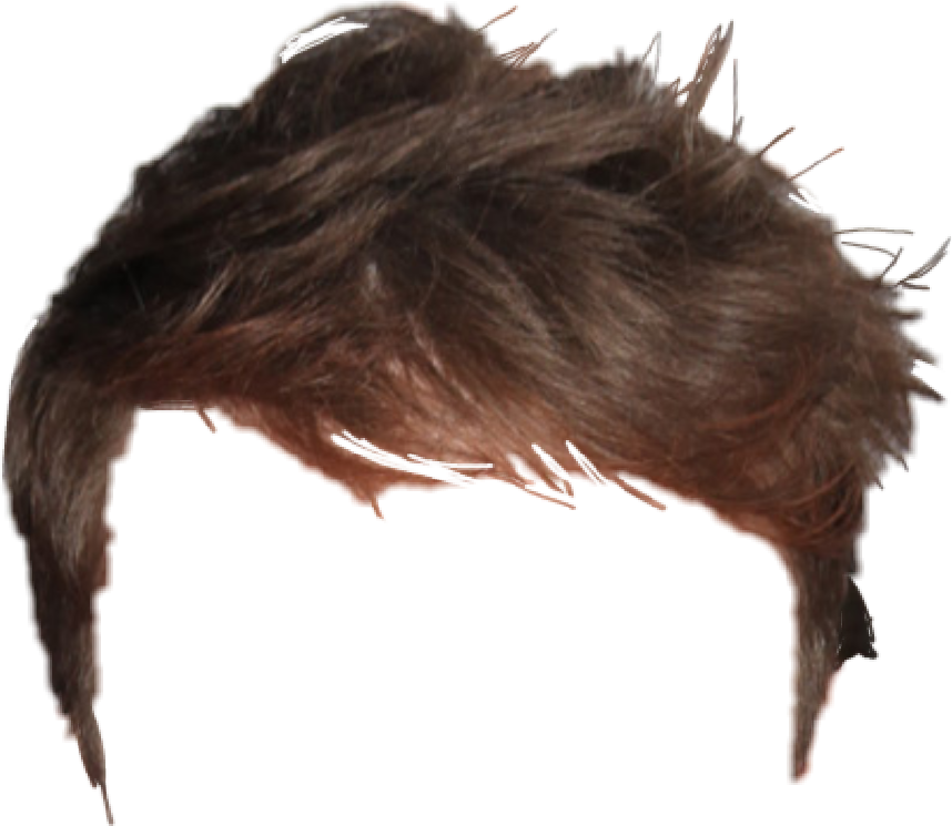 Download Hair Hairstyle Haircut Shorthair - Hairstyle Stickers - HD ...