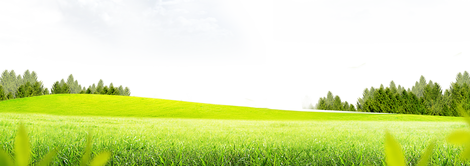 Download Meadow Png High-quality Image - Meadow Transparent Background ...