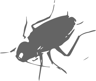 Download Learn More - Cockroach Png Vector - HD Transparent PNG ...
