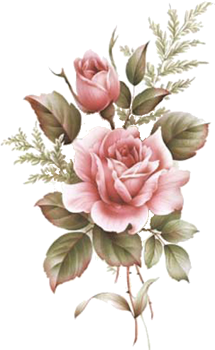 Download HD 231 - Pink Roses Drawing Transparent PNG Image - NicePNG.com