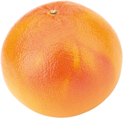 Download HD Grapefruit - Grapefruit Transparent Transparent PNG Image ...