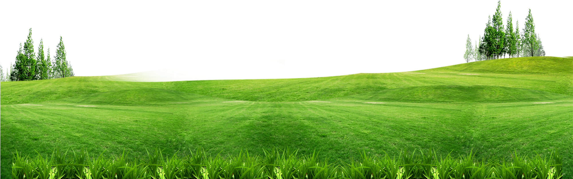 Download Download Lawn Gratis Wallpaper - Clipart Grass Plain ...