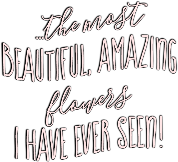 Download HD Calligraphy Transparent PNG Image - NicePNG.com