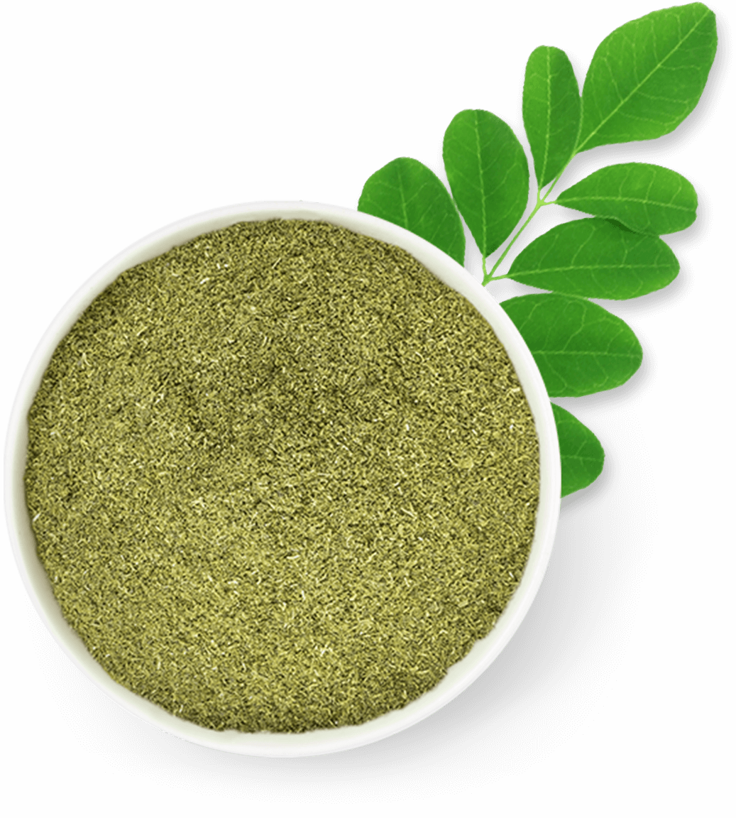 Download Curry Leaves - Circle - HD Transparent PNG - NicePNG.com