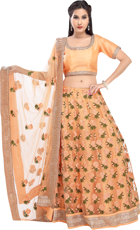 Download HD Ghagra Transparent PNG Image - NicePNG.com
