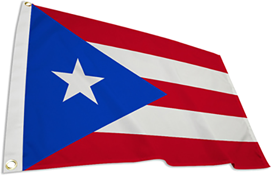 Download Puerto Rico Flag - Flag - HD Transparent PNG - NicePNG.com