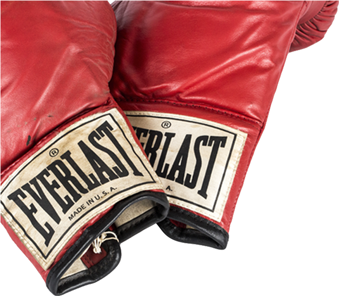Download HD Everlast Transparent PNG Image - NicePNG.com