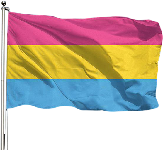 Download HD Pansexual Pride Flag - Flag Transparent PNG Image - NicePNG.com