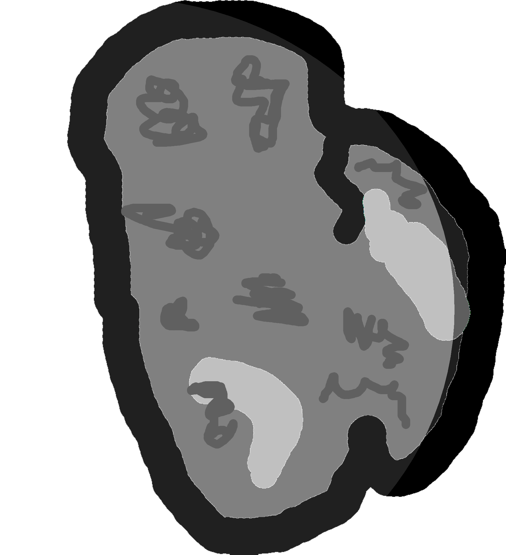 Download HD Hydra New Body - Illustration Transparent PNG Image ...