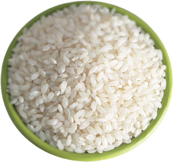 Download Rice Png File - Rice - HD Transparent PNG - NicePNG.com