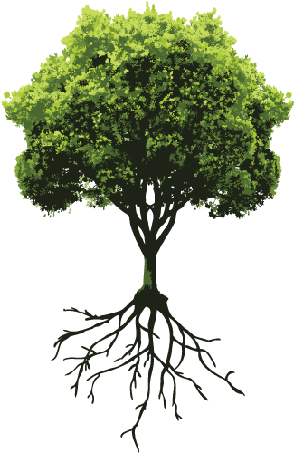 Download Tree With Roots Png - Green Tree Beach Towel - HD Transparent ...