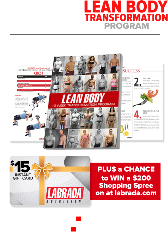 Download HD Labrada Transparent PNG Image - NicePNG.com